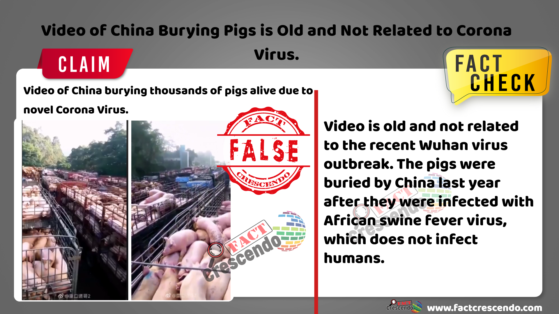 Video of China Burying Pigs is Old and Not Related to Corona Virus ...