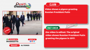 Digitally edited video shared as a pigeon saluting Russian President ...