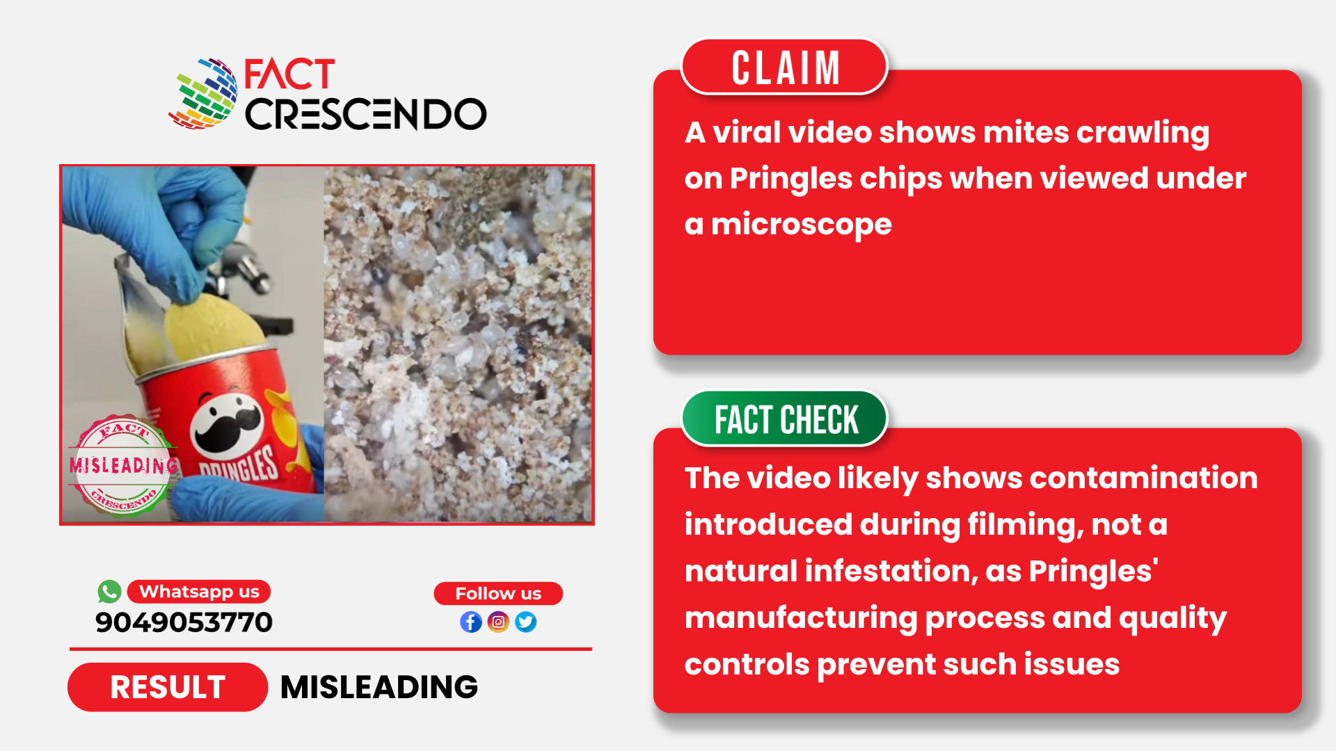 Fact Check: Viral Video of Mites on Pringles Chips is Misleading - Fact ...